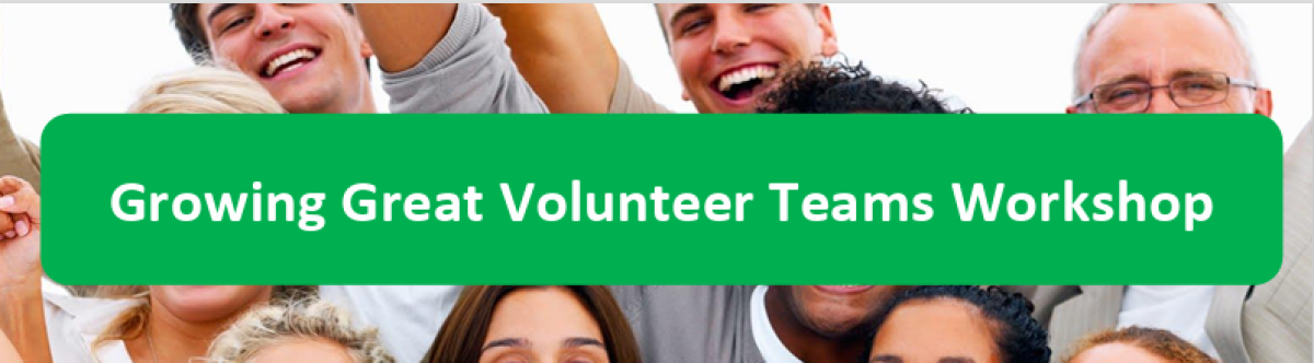 Growing Great Volunteer Teams Workshop | Volunteer Kapiti